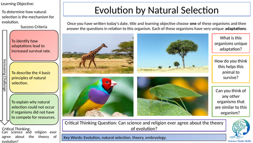 Evolution by Natural Selection - Grade 11 | Teaching Resources