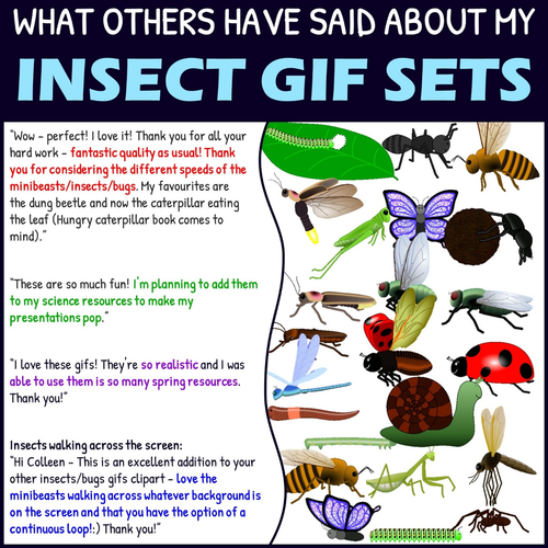 Insect GIFs Clipart - Animated Bugs Clip Art - Set 2 | Teaching Resources