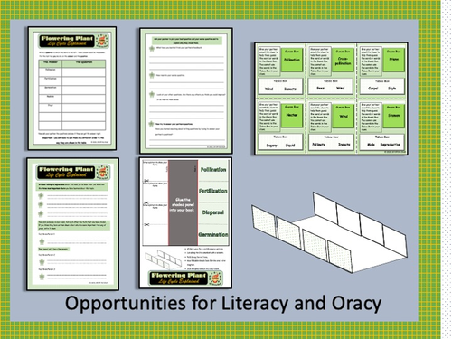 Life Cycle of the Plant From Pollination to Germination Explained KS3 ...