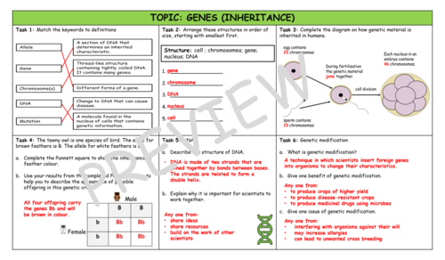 Genes (Inheritance) Assessment | Teaching Resources
