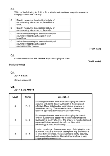 AQA A Level Psychology Year 2 - Ways of Investigating the Brain ...