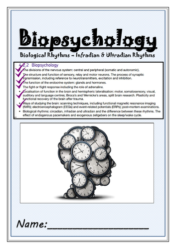 AQA A Level Psychology Year 2 - Infradian and Ultradian (Biological ...