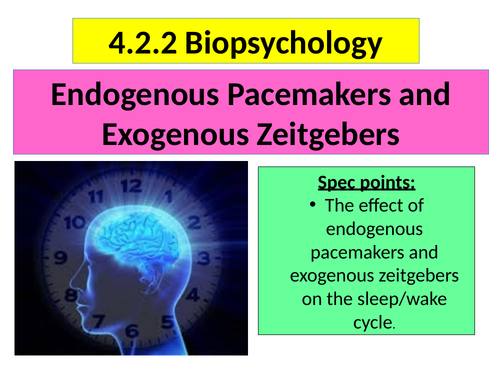AQA A Level Psychology Year 2 - Endogenous Pacemakers and Exogenous ...