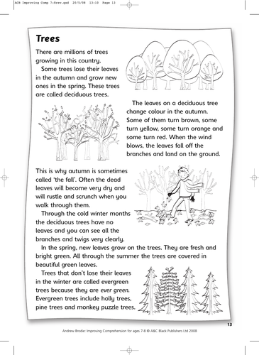 Reading comprehension age 7-8 (Year 4) | Teaching Resources