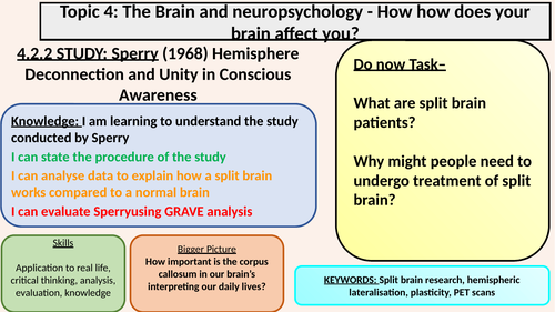 Edexcel GCSE Psychology - The Brain and Neuropsychology - Sperry (1968 ...