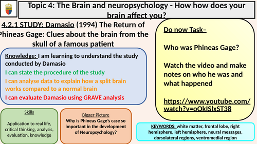 Edexcel GCSE Psychology - The Brain and Neuropsychology - Damasio ...