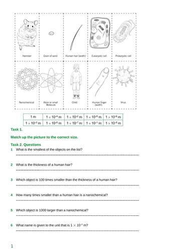 Eukaryotes prokaryotes and units of measurement lesson | Teaching Resources