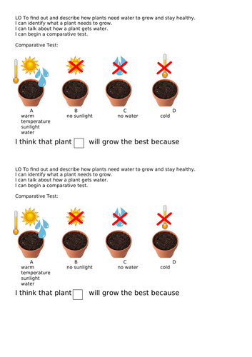 Y2 Science - Plants | Teaching Resources
