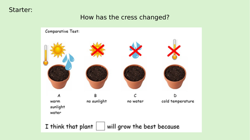 Y2 Science - Plants | Teaching Resources