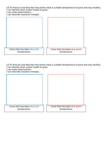 Y2 Science - Plants | Teaching Resources