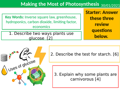 B8 Photosynthesis All Lessons | Teaching Resources
