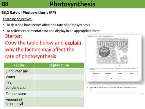 B8 Photosynthesis All Lessons | Teaching Resources