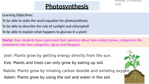 B8 Photosynthesis All Lessons | Teaching Resources