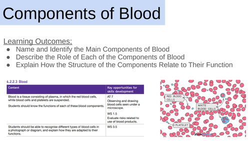 Components of Blood | Teaching Resources