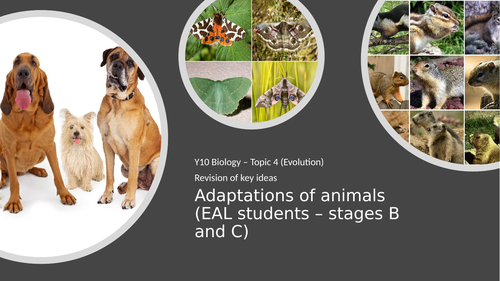Evolution and Natural Selection (key terms) for EAL students | Teaching ...