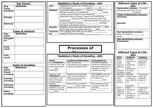 AQA GCSE Psychology: Paper 1 - Memory BUNDLE | Teaching Resources AQA GCSE Psychology: Paper 1 - Memory BUNDLE | Teaching Resources