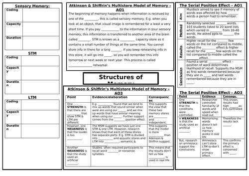 AQA GCSE Psychology: Paper 1 - Memory BUNDLE | Teaching Resources AQA GCSE Psychology: Paper 1 - Memory BUNDLE | Teaching Resources