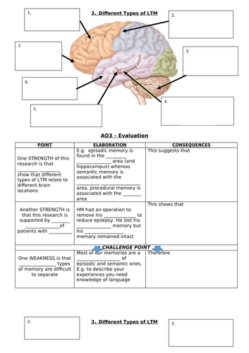 AQA GCSE Psychology: Paper 1 - Memory BUNDLE | Teaching Resources AQA GCSE Psychology: Paper 1 - Memory BUNDLE | Teaching Resources