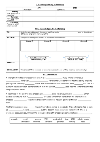 AQA GCSE Psychology: Paper 1 - Memory BUNDLE | Teaching Resources