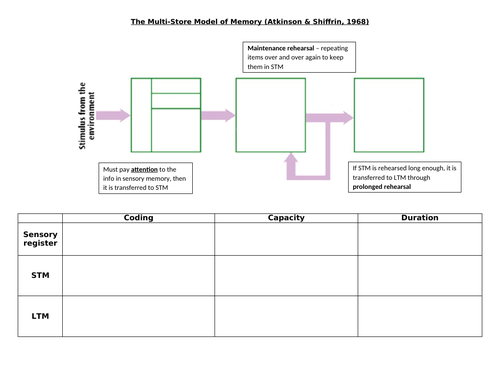 AQA GCSE Psychology: Paper 1 - Memory BUNDLE | Teaching Resources AQA GCSE Psychology: Paper 1 - Memory BUNDLE | Teaching Resources