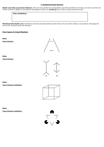 AQA GCSE Psychology: Paper 1 - PERCEPTION BUNDLE | Teaching Resources