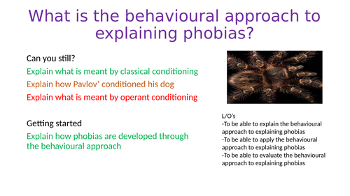 What is the behavioural approach to explaining phobias? | Teaching ...