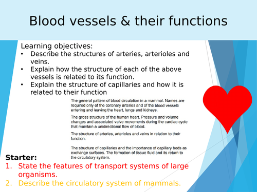 AQA AS Level Biology 7.6 Blood vessels and their functions | Teaching ...