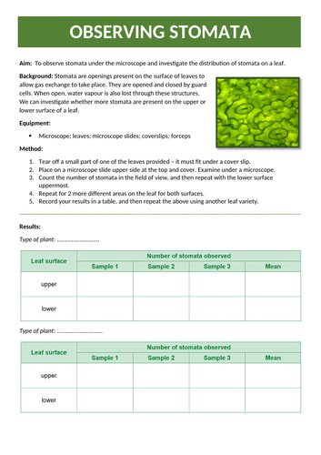 Leaf structure and Stomata Observations - Section 2E Edexcel IGCSE ...