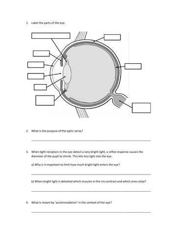 The Eye Supplementary Slides and Worksheet (GCSE Biology AQA ...