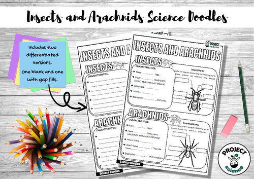 Insects and Arachnids Science Doodles | Teaching Resources