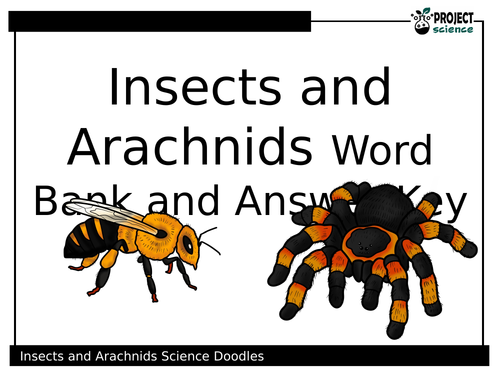 Insects and Arachnids Science Doodles | Teaching Resources