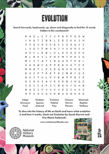 KS2 Science: Evolution Word Search | Teaching Resources