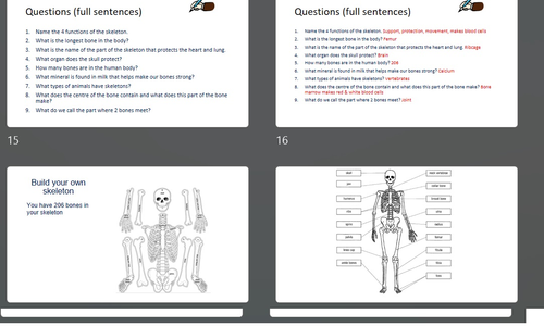 KS3 Skeleton | Teaching Resources