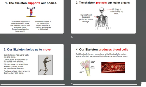 KS3 Skeleton | Teaching Resources