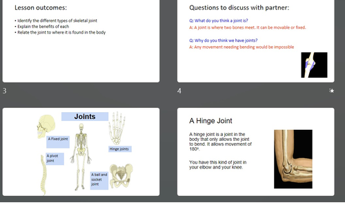 KS3 Joints skeleton | Teaching Resources