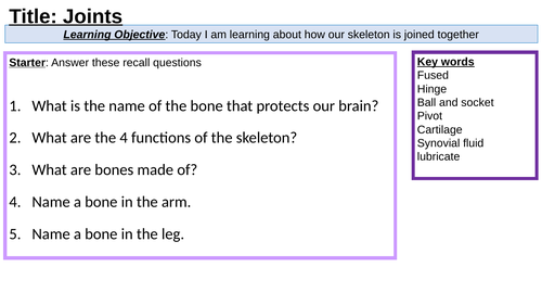 KS3 Joints skeleton | Teaching Resources