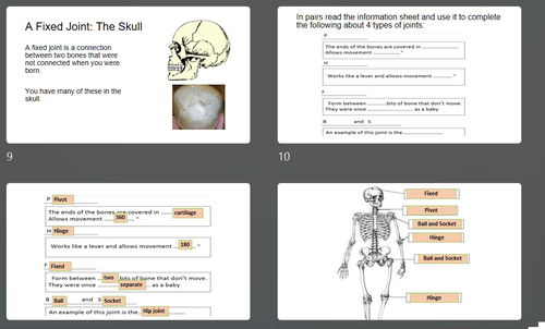KS3 Joints skeleton | Teaching Resources