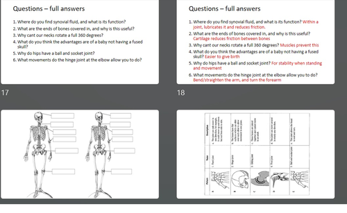 KS3 Joints skeleton | Teaching Resources