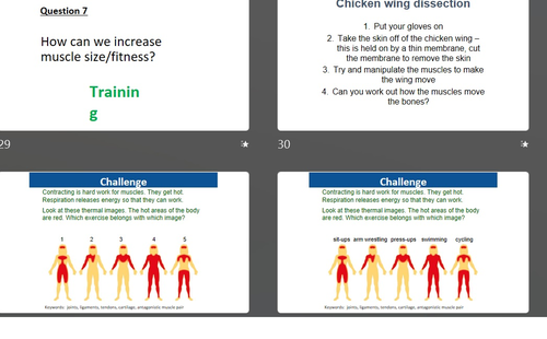 KS3 muscles | Teaching Resources