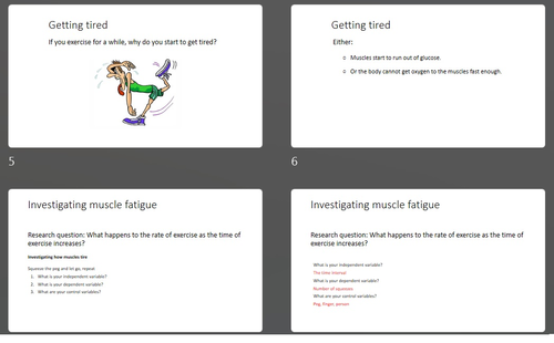 KS3 muscle fatigue | Teaching Resources
