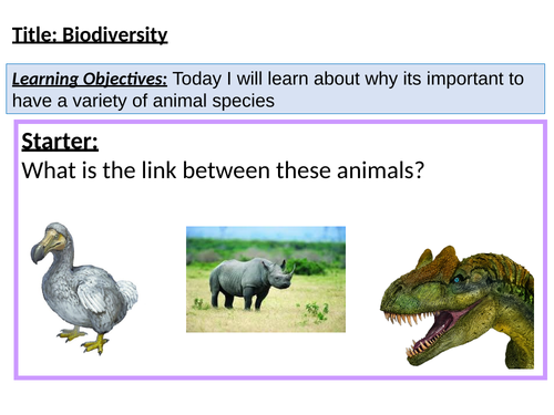 KS3/4 Biodiversity and extinction | Teaching Resources