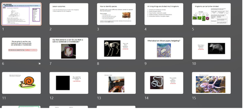 KS3 classification | Teaching Resources