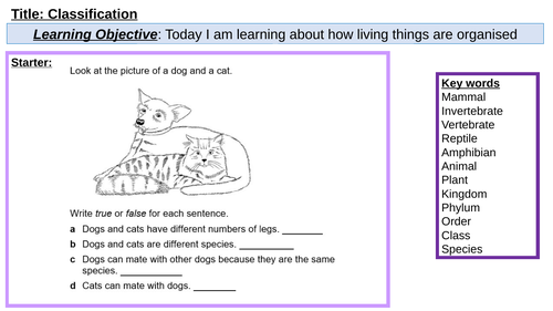 KS3 classification | Teaching Resources