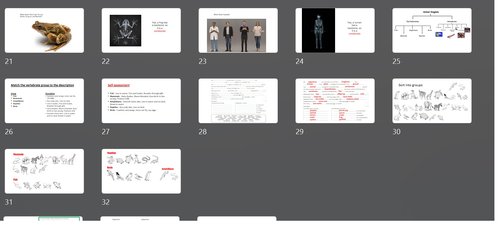 KS3 classification | Teaching Resources