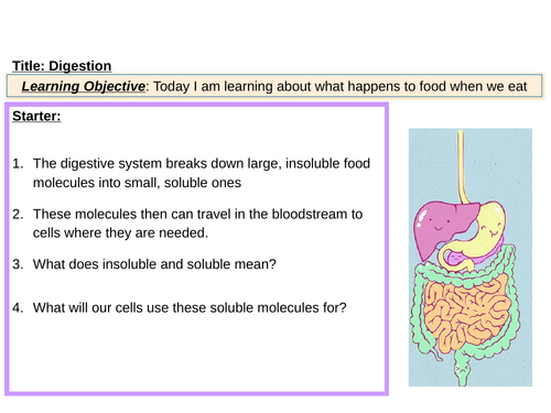 KS3/4 Digestion | Teaching Resources