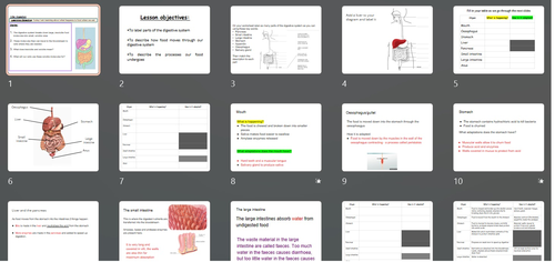 KS3/4 Digestion | Teaching Resources