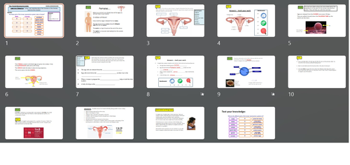 KS3 Female reproductive system | Teaching Resources