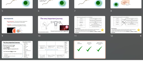 KS3 Sexual reproduction/fertilisation | Teaching Resources