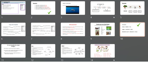KS3 Food webs | Teaching Resources