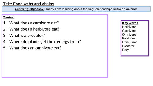 KS3 Food webs | Teaching Resources
